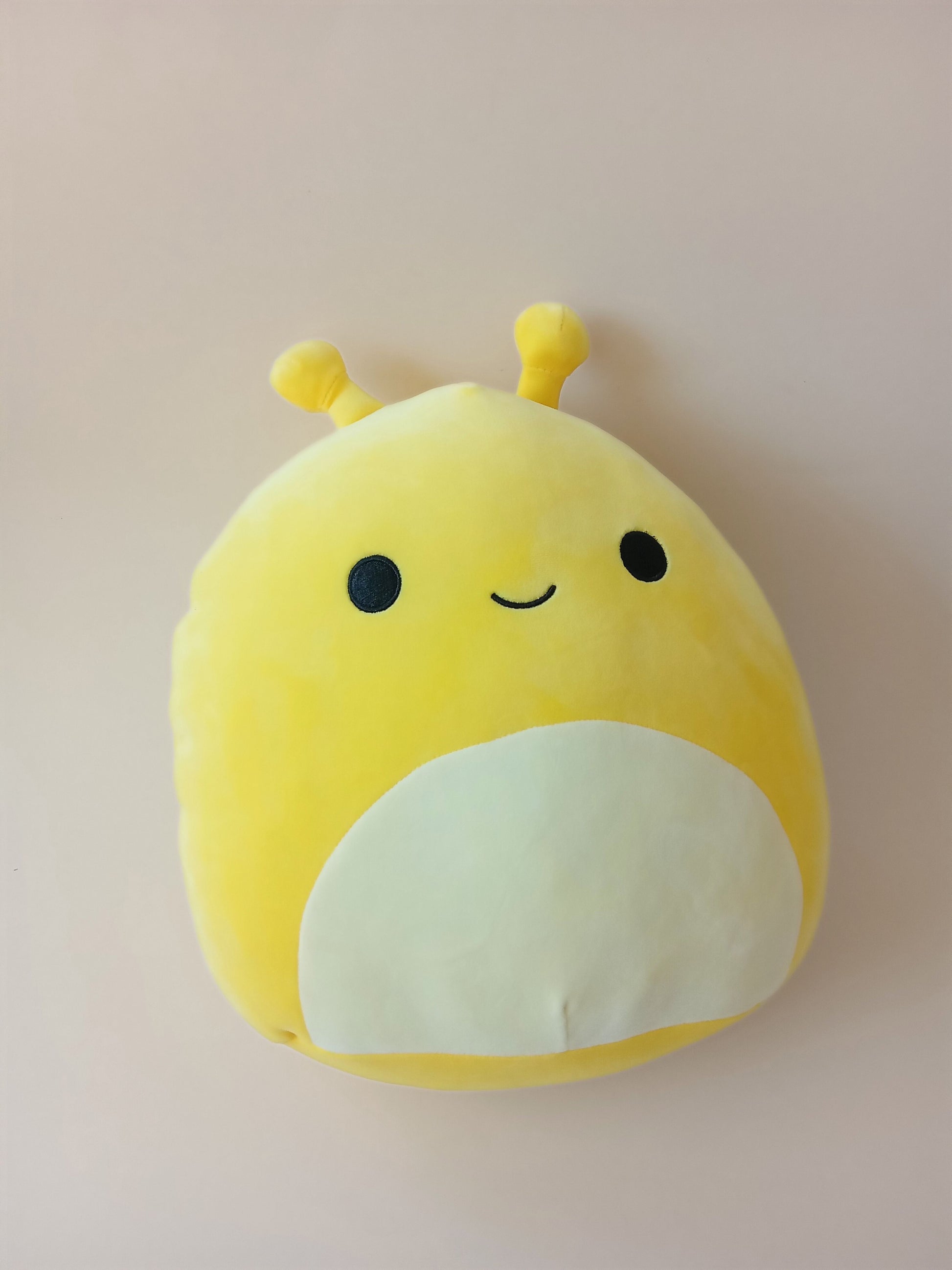 Squishmallow Kids Gift Box | NZ Wide Delivery – Epic Kids Gift Boxes