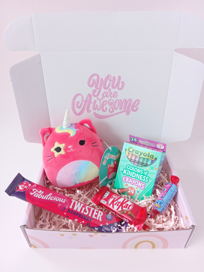 Squishmallow Gift Box | NZ Wide Delivery – Epic Kids Gift Boxes
